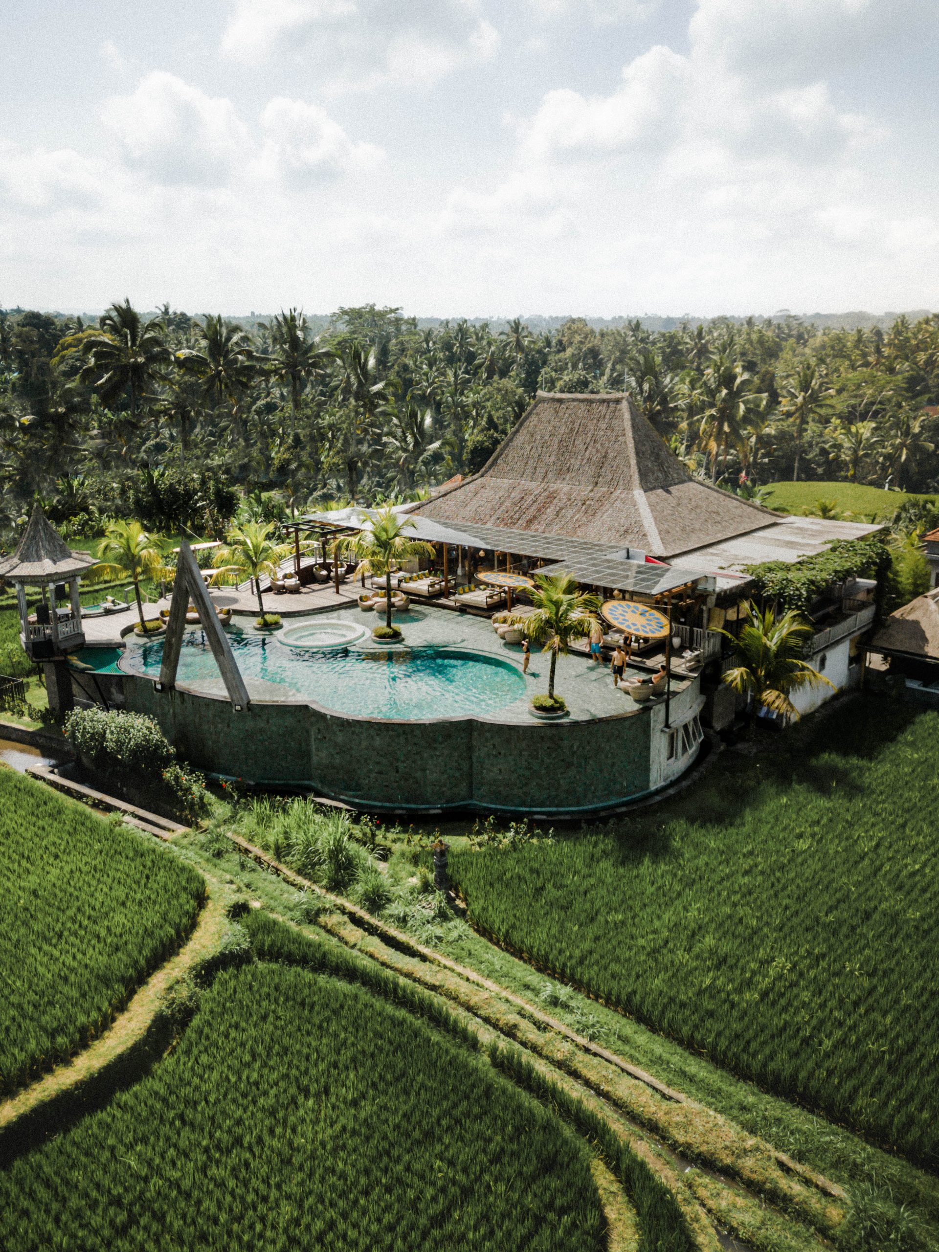 Experience a Wonderful Sunset in Ubudat Cretya Sunset - Tropical Life